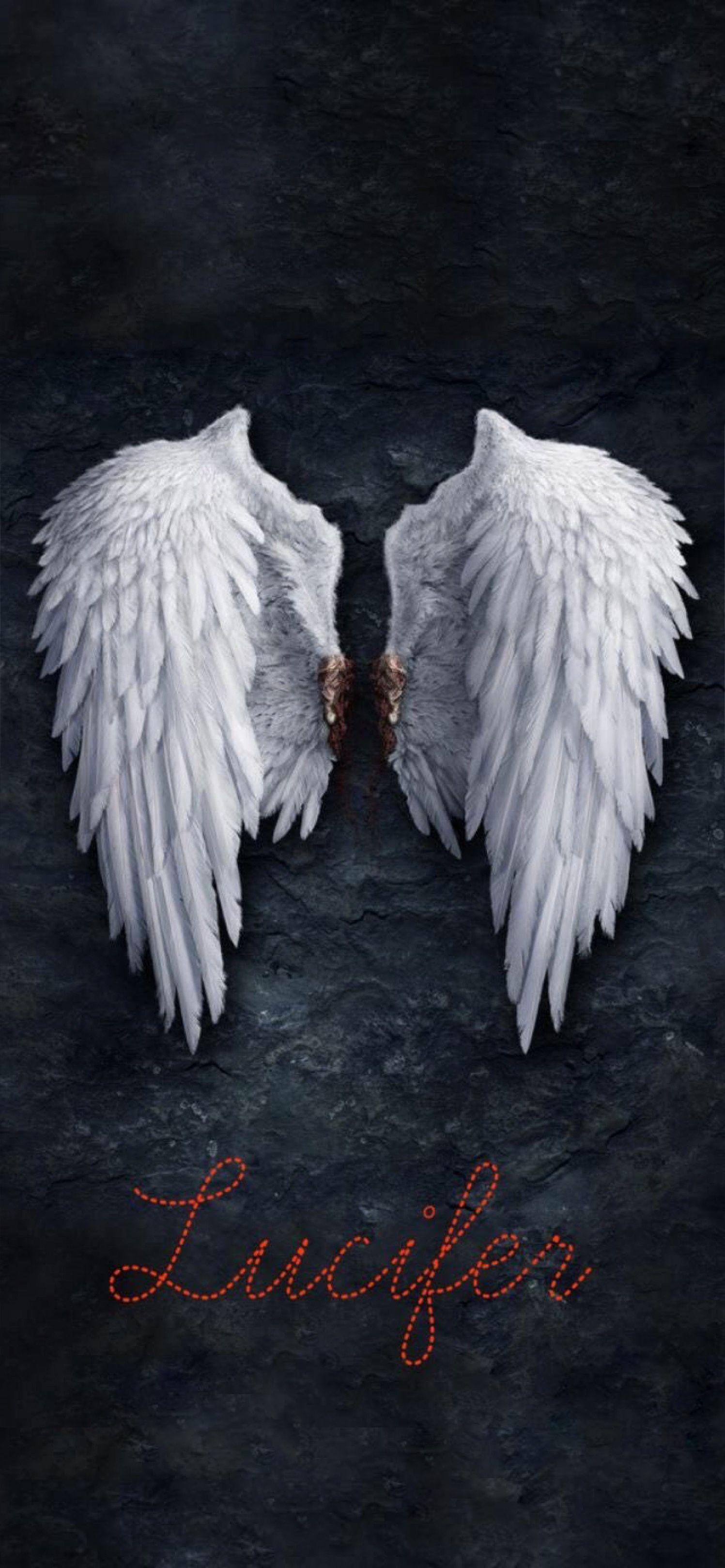 Supernatural Angel Wings Wallpaper
